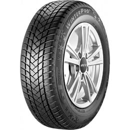 GT RADIAL Winterreifen "GT RADIAL", 205mm / 60 % R 16 92H, schwarz, Autoreifen