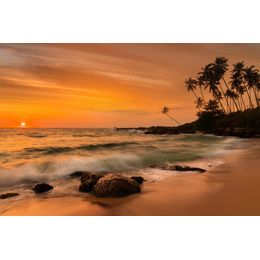 papermoon Fototapete "PALMEN-STRAND-KARIBIK S&Uuml;DSEE MEER D&Uuml;NEN SONNE OZEAN XXL", B/L: 4,5mm x 2,8mm, Bahnen: 9 Stk. St., bunt, Schlafzimmer, Tapeten