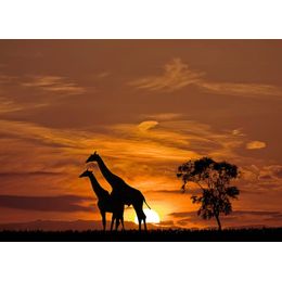 papermoon Fototapete "Giraffen vor Sonnenuntergang", B/L: 4m x 2,6m, Bahnen: 8 Stk., bunt, Schlafzimmer, Tapeten