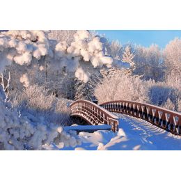 papermoon Fototapete "Winterbr&uuml;cke", B/L: 5m x 2,8m, Bahnen: 10 Stk., bunt, Schlafzimmer, Tapeten