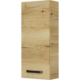 H&auml;ngeschrank SAPHIR, B:30cm H:70cm T:17cm, braun, Badezimmer, Schr&auml;nke, "Serie 4010 Wand-Badschrank 30 cm breit mit 1 T&uuml;r, 2 Glas-Einlegeb&ouml;den",