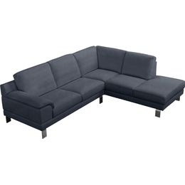 Ecksofa Egoitaliano, B:240cm H:84cm T:212cm, grau, Wohnzimmer, Sofas, "Shakira, Design und Sitzkomfort auf hohem Niveau, tolle Details", mit