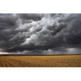 papermoon Fototapete "Feld mit Gewitter", B/L: 4,5m x 2,8m, Bahnen: 9 Stk., bunt, Schlafzimmer, Tapeten
