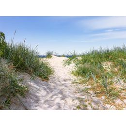 papermoon Fototapete "D&uuml;nen in der Ostsee", B/L: 3,5m x 2,6m, Bahnen: 7 Stk., bunt, Wohnzimmer, Tapeten