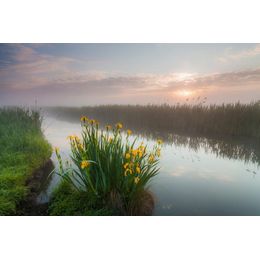 papermoon Fototapete "Fluss durch Feld", B/L: 4m x 2,6m, Bahnen: 8 Stk., bunt, Schlafzimmer, Tapeten