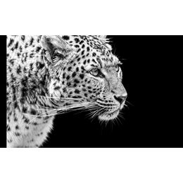 papermoon Fototapete "Leopard Schwarz & Wei&szlig;", B/L: 5m x 2,8m, Bahnen: 10 Stk., schwarz, Schlafzimmer, Tapeten