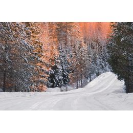papermoon Fototapete "Schneelandschaft", B/L: 3,5m x 2,6m, Bahnen: 7 Stk., bunt, Schlafzimmer, Tapeten