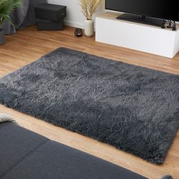 Teppich ANDIAMO, B:50cm H:36mm L:110cm, grau, Obermaterial: 100% Polyester, Wohnzimmer, Teppiche, "Alpa", Uni Farben, Microfaser, besonders weich &