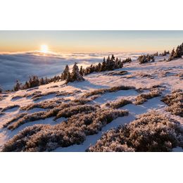 papermoon Fototapete "Schneelandschaft", B/L: 4m x 2,6m, Bahnen: 8 Stk., bunt, Schlafzimmer, Tapeten
