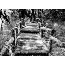 papermoon Fototapete "Waldbr&uuml;cke Schwarz & Wei&szlig;", B/L: 5m x 2,8m, Bahnen: 10 Stk., schwarz, Schlafzimmer, Tapeten