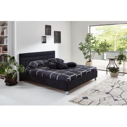 Polsterbett, B:170cm L:210cm, schwarz, Westfalia Schlafkomfort, Bezug: Microvelours (100% Polyester);Bonnell-Federkern-Matratzenbezug: 100%