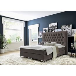 Boxspringbett, B:188cm L:216cm, braun, ATLANTIC HOME COLLECTION, Bezug Bett: Samtvelours (100% Polyester);Bonnell-Federkernmatratze: Jersey (100%