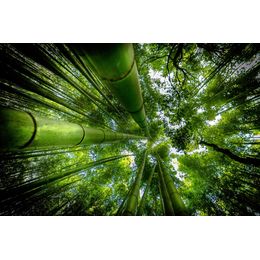 papermoon Fototapete "Photo-Art DAVID ROS, ARASHIYAMA", B/L: 4m x 2,6m, Bahnen: 8 Stk., bunt, Schlafzimmer, Tapeten