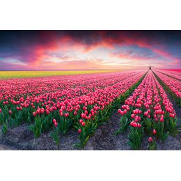 papermoon Fototapete "Blumenfelder", B/L: 4m x 2,6m, Bahnen: 8 Stk., bunt, Schlafzimmer, Tapeten