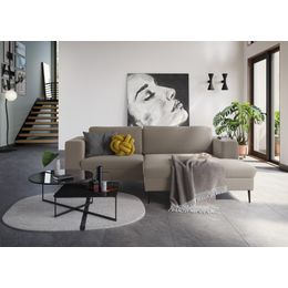 Ecksofa DOMO collection, B:244cm H:83cm T:173cm, braun, Wohnzimmer, Sofas, "Modica kompakt und elegant, Breite 244, L-Form", moderne Optik mit