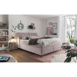 Boxspringbett, B:186cm L:242cm, rosa, SET ONE BY Musterring, 92% Polyester, 8% Nylon, Jugendzimmer, Komplettbetten, "Fairfield", Kopfteil in