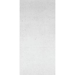 Duschr&uuml;ckwand Sanotechnik, B:100cm H:205cm, grau, Aluminium, Spritzschutzw&auml;nde, "Sanowall", H&ouml;he: 205 cm
