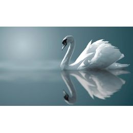 papermoon Fototapete "Schwan im Wasser", B/L: 4m x 2,6m, Bahnen: 8 Stk., bunt, Schlafzimmer, Tapeten