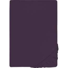 Spannbettlaken Biberna, lila, Jersey-Elasthan, Obermaterial: 97% Baumwolle, 3% Elasthan, Bettlaken, "Thea", aus Baumwolle, f&uuml;r Matratzen bis 25 cm