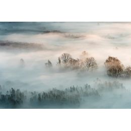 papermoon Fototapete "Photo-Art MARCO GALIMBERTI, WINTERNEBEL", B/L: 3,5m x 2,6m, Bahnen: 7 Stk., bunt, Schlafzimmer, Tapeten