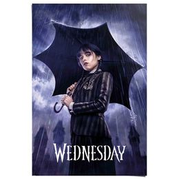 Poster Reinders, B:61cm H:91,5cm T:0,1cm, lila, Papier, Jugendzimmer, Bilder, "Wednesday"