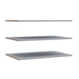 Einlegeboden FORTE, B:57,7cm H:32cm T:1,5cm, grau, FSC-zertifizierter Holzwerkstoff, Einlegeb&ouml;den, 3-er Set, Breite 57,7 cm