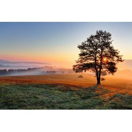 papermoon Fototapete "baum in landschaft", B/L: 3m x 2,23m, Bahnen: 6 Stk., bunt, Schlafzimmer, Tapeten