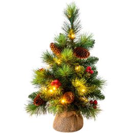 N&auml;ve N&Auml;VE LED-Leuchtzweig "LED-Weihnachtsbaum mit Beeren und Tannenzapfen, H.45cm, Weihnachtsdeko", Dioden 20 Stk., Gesamtl&auml;nge 0,45m, bunt,