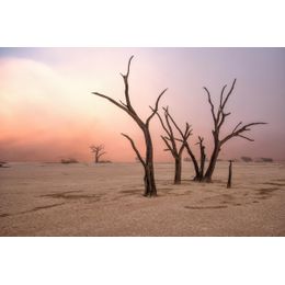 papermoon Fototapete "Photo-Art GIUSEPPE DAMICO, NEBEL IN DEADVLEI", B/L: 4m x 2,6m, Bahnen: 8 Stk., bunt, Schlafzimmer, Tapeten