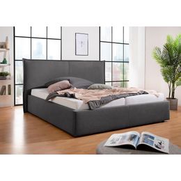 Polsterbett Maintal, B:226cm H:108cm L:212cm, grau, Betten, Bettseiten zerlegt, ohne Bettkasten