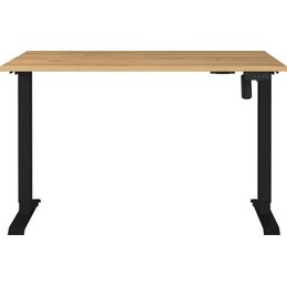 Schreibtisch Germania, B:120cm H:119cm T:80cm, schwarz, B&uuml;ro, Tische, "Profi 3.0", elektrisch h&ouml;henverstellbar, in verschiedenen Breiten, Made in