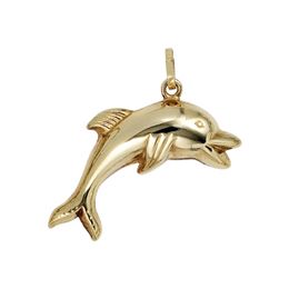 Jobo Damen Kettenanh&auml;nger "Anh&auml;nger Delfin", Gelbgold 333, gold, Gelbgold 333, Schmuckanh&auml;nger, 333 Gold