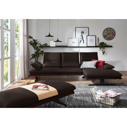 Ecksofa W.Schillig, B:291cm H:94cm T:164cm, braun, Longlife Xtra-Leder Z59: Glattleder mit modischer Pr&auml;gung. Hautst&auml;rke 0, 9 - 1, 1 mm, Wohnzimmer,