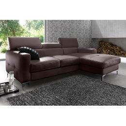 Ecksofa COTTA, B:226cm H:92cm T:105cm, braun, Microfaser PRIMABELLE (100% Polyester);NaturLEDER in Sitz und R&uuml;cken/Kunstleder im Korpus;NaturLEDER