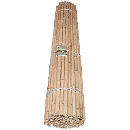 Windhager Sichtschutzzaunmatten, H/L: 180cm x 1,8m, beige, Zaunelemente, nat&uuml;rlicher Sichtschutz in Premium-Qualit&auml;t, L: 1,8 m