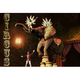 papermoon Fototapete "Circus", B/L: 4,5m x 2,8m, Bahnen: 9 Stk., bunt, Schlafzimmer, Tapeten