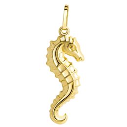Firetti Damen Kettenanh&auml;nger "Schmuck Geschenk Gold 333 Halsschmuck Anh&auml;nger Halskette Seepferd", Gelbgold 333, 0,54 g, gold, Gelbgold 333,