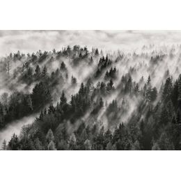 papermoon Fototapete "Photo-Art DAVORIN BALOH, SUNDANCE NR1", B/L: 4m x 2,6m, Bahnen: 8 Stk., bunt, Schlafzimmer, Tapeten