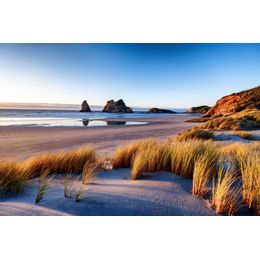 papermoon Fototapete "D&Uuml;NEN-WHARARIKI BEACH MEER SEE K&Uuml;STE STRAND SYLT BAUM", B/L: 4mm x 2,6mm, Bahnen: 8 Stk. St., bunt, Schlafzimmer, Tapeten