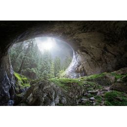 papermoon Fototapete "Photo-Art ESMEE PREXUS, H&Ouml;HLE ZUM HIMMEL", B/L: 4,5m x 2,8m, Bahnen: 9 Stk., bunt, Schlafzimmer, Tapeten
