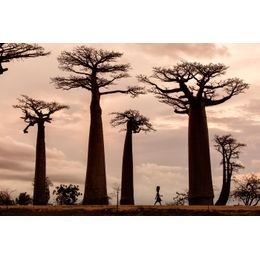 papermoon Fototapete "Photo-Art DAN MIRICA, MADAGASKAR", B/L: 4,5m x 2,8m, Bahnen: 9 Stk., bunt, Schlafzimmer, Tapeten