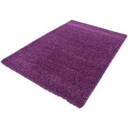 Hochflor-Teppich, B:240cm H:30mm L:340cm, lila, Ayyildiz Teppiche, Kunstfaser, Teppiche, "Life Shaggy 1500 , auch als L&auml;ufer und in Rund erh&auml;ltlich",