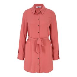 Dorothy Perkins Petite Shirt Dress female Pink size 12
