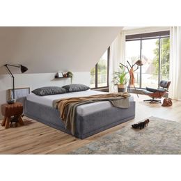 Polsterbett, B:186cm H:34cm L:206cm, grau, Westfalia Schlafkomfort, Bezug Bett: Veloursstoff 100% Polyester oder Microfaser (100%