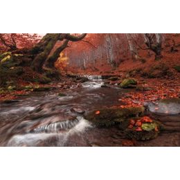 papermoon Fototapete "Fluss im Wald", B/L: 3,5m x 2,6m, Bahnen: 7 Stk., bunt, Schlafzimmer, Tapeten