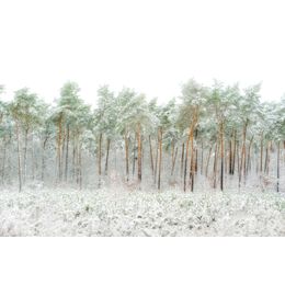 papermoon Fototapete "Photo-Art GREETJE VAN SON, SCHNEEWELT", B/L: 4m x 2,6m, Bahnen: 8 Stk., bunt, Schlafzimmer, Tapeten