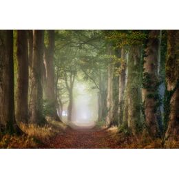 papermoon Fototapete "Photo-Art ELLEN BORGGREVE, NACH VORNE", B/L: 5m x 2,8m, Bahnen: 10 Stk., bunt, Schlafzimmer, Tapeten
