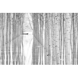 papermoon Fototapete "Photo-Art AGLIONI SIMONE, BEWEGUNGSFREIHEIT", B/L: 4m x 2,6m, Bahnen: 8 Stk., bunt, Schlafzimmer, Tapeten