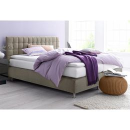 Boxspringbett, B:175cm L:210cm, beige, Westfalia Schlafkomfort, Microvelours (100% Polyester);Strukturstoff (77% Polyester und 23%