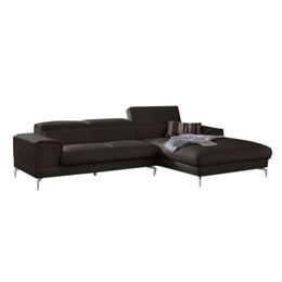 Ecksofa W.Schillig, B:303cm H:70cm T:193cm, braun, Longlife Xtra-Leder Z59: Glattleder mit modischer Pr&auml;gung. Hautst&auml;rke 0, 9 - 1, 1 mm, Wohnzimmer,